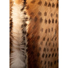 Zulu Warrior Outfit — Luangisa African Gallery